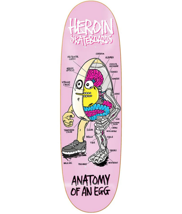 Anatomy of an Egg fra Heroin Skateboards - Skateboard Decks hos Sidewalk